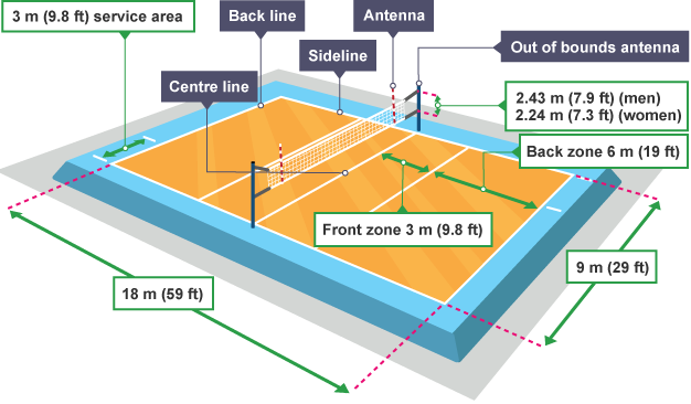 Volleyball positions - Huskers Volleyball Hub