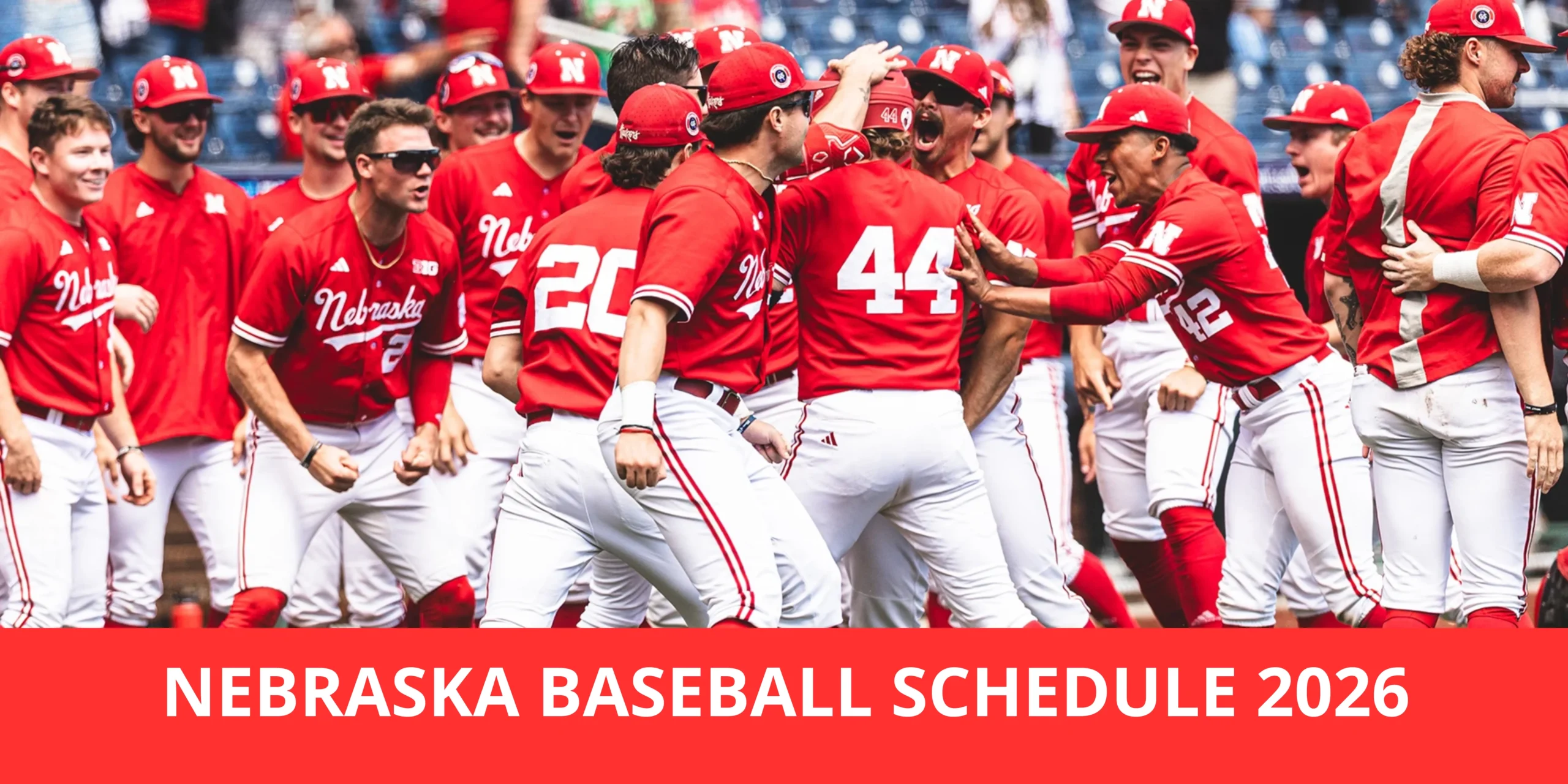 Volleyball Positions in 2025 with Nebraska Roster - Huskers Volleyball Hub